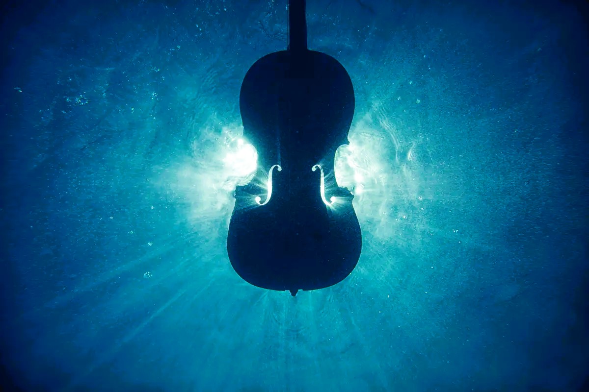 Feel the Rhythm of Maui: 2026 Festivals and Events to Enjoy