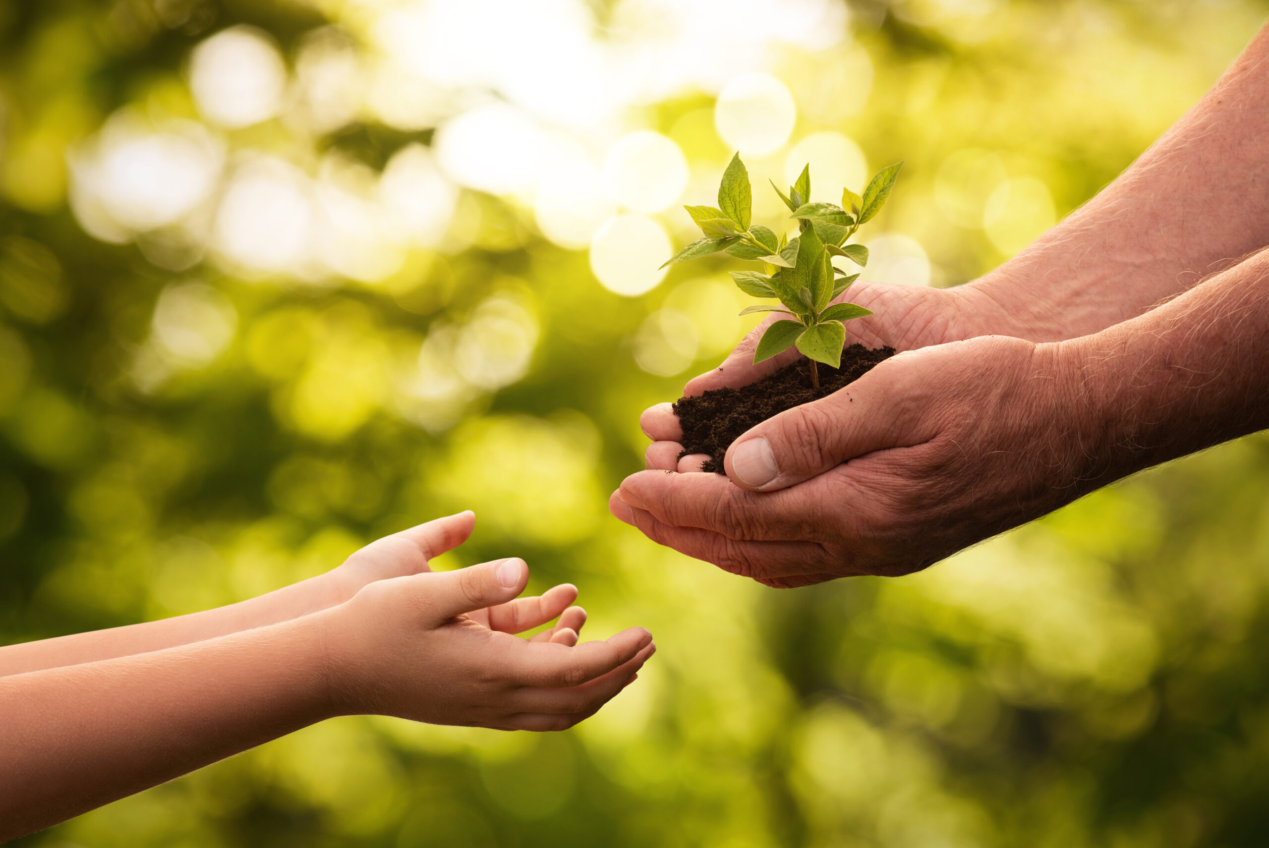Buying a Home in Maui: Find Connection, Purpose & Belonging